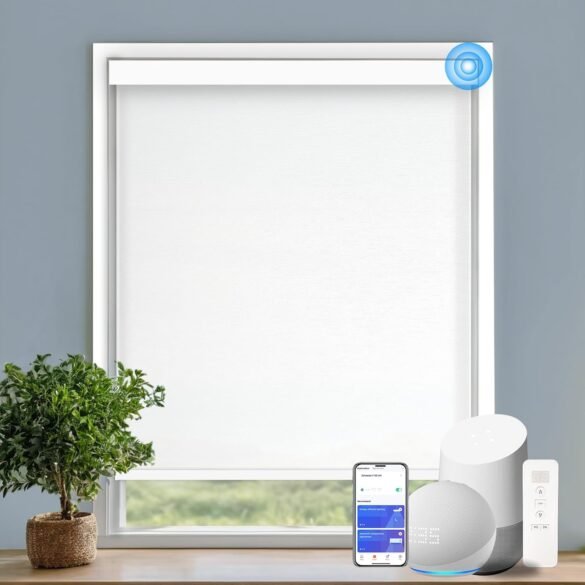 21 Unique Transom Window Ideas To Transform Your Home's....